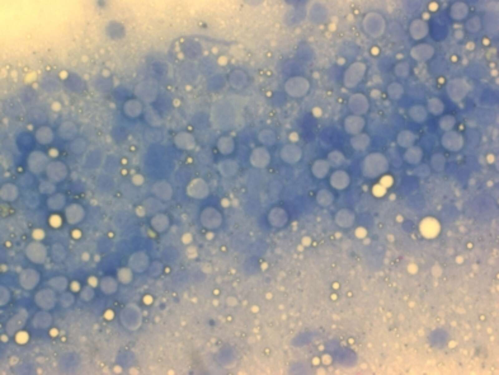 Cytology sample advice | Cytopath