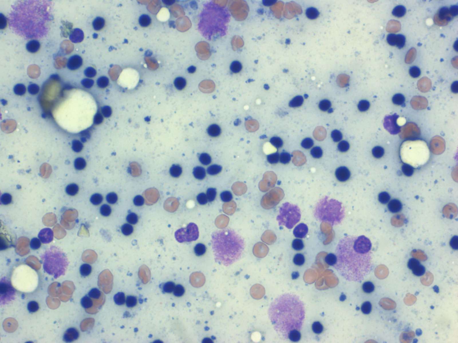 Cytology sample advice | Cytopath