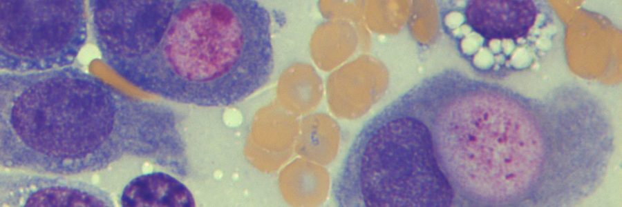 Cytopath Veterinary Pathology | Cytopath