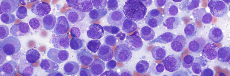 Cytopath Veterinary Pathology | Cytopath