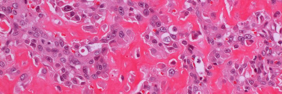 Cytopath Veterinary Pathology | Cytopath